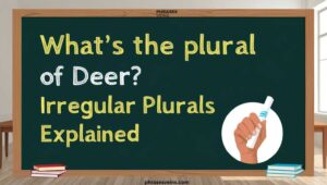 What’s the Plural of Deer? Irregular Plurals Explained